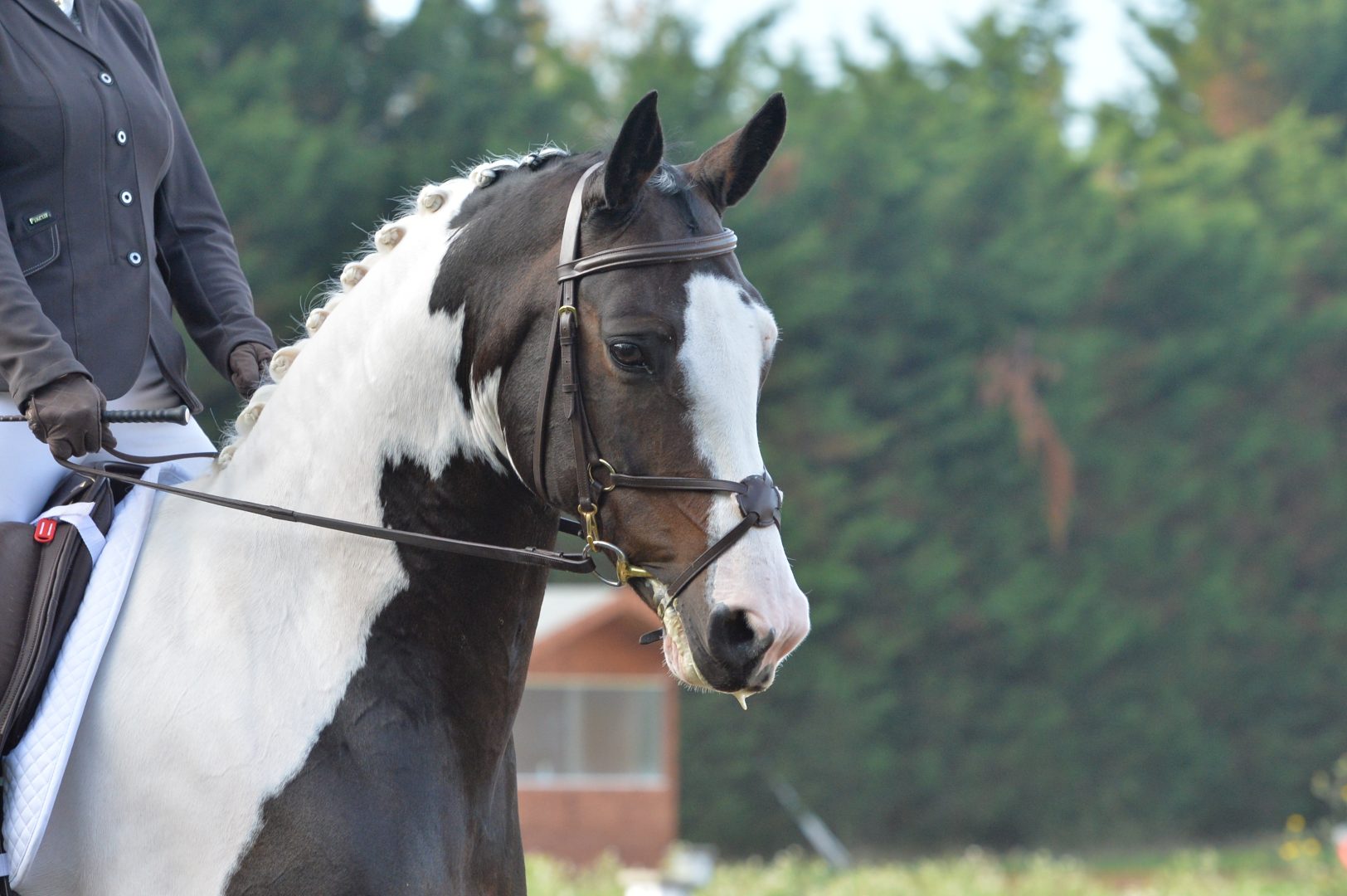 Competition update - NSEA