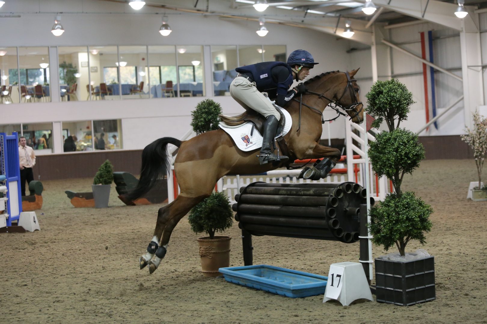 Jumping with Style Explained - NSEA