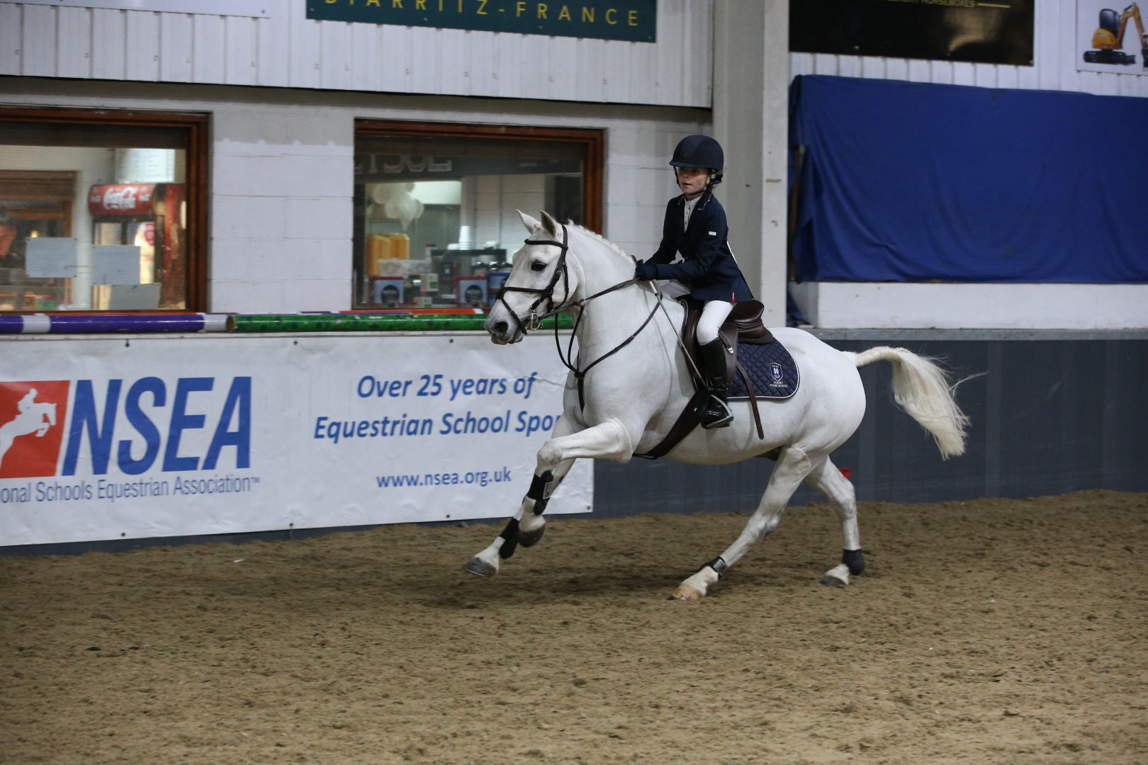 About the NSEA - NSEA