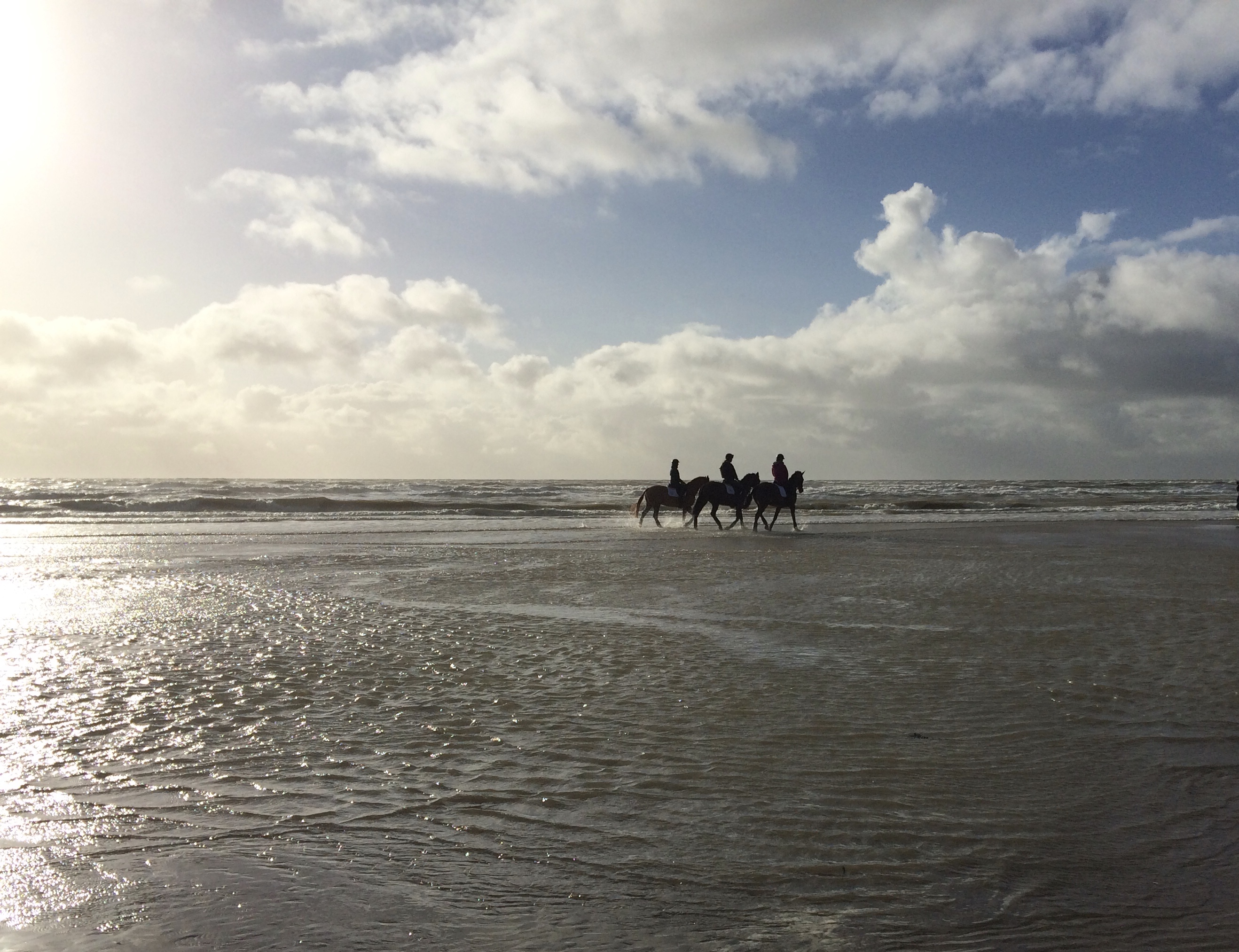 Latest news from the NSEA - NSEA