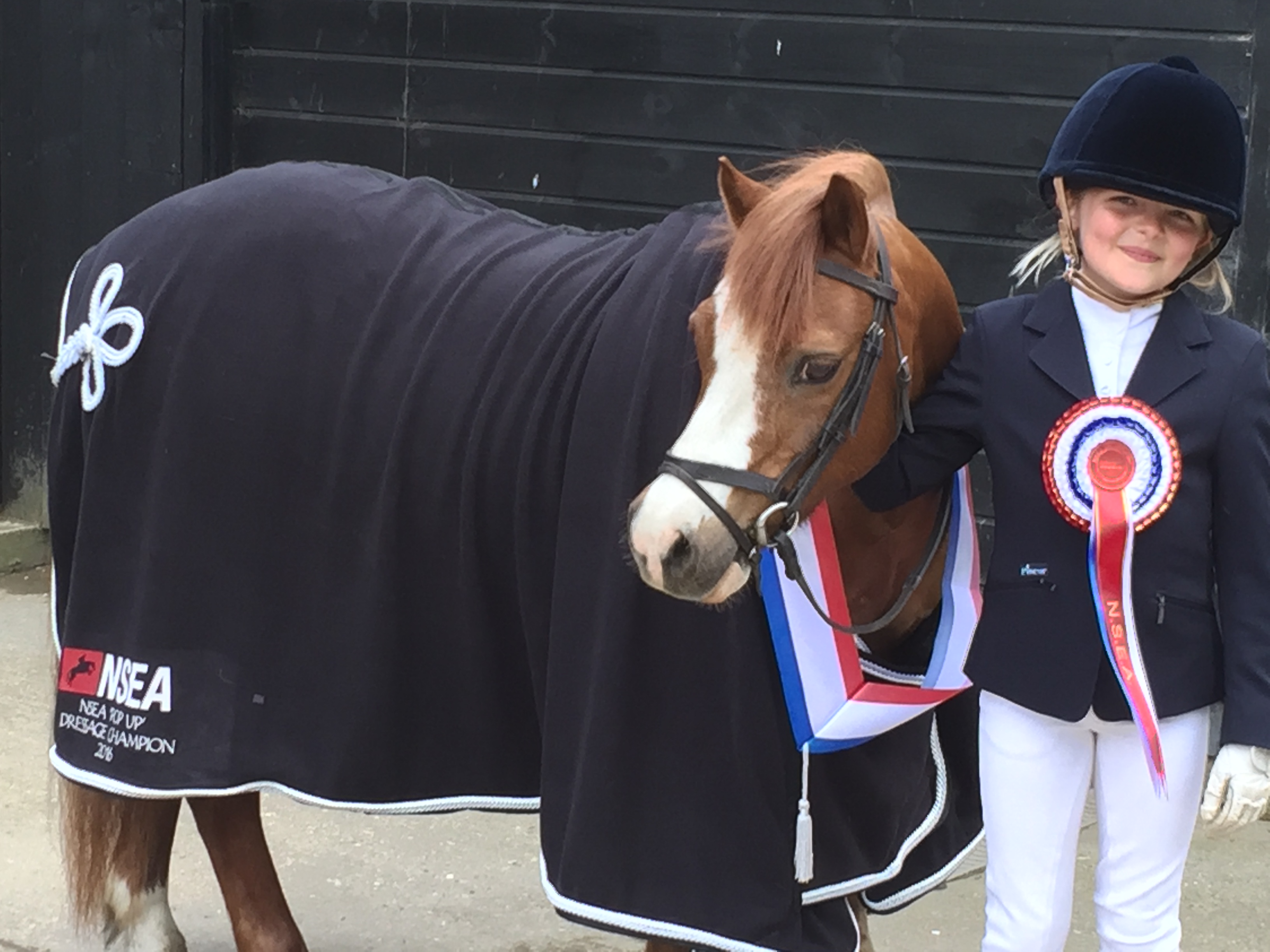 NSEA Membership - NSEA