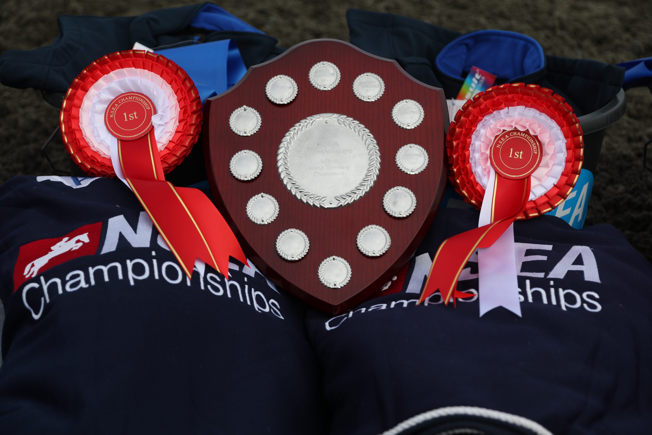 Range of Disciplines - NSEA