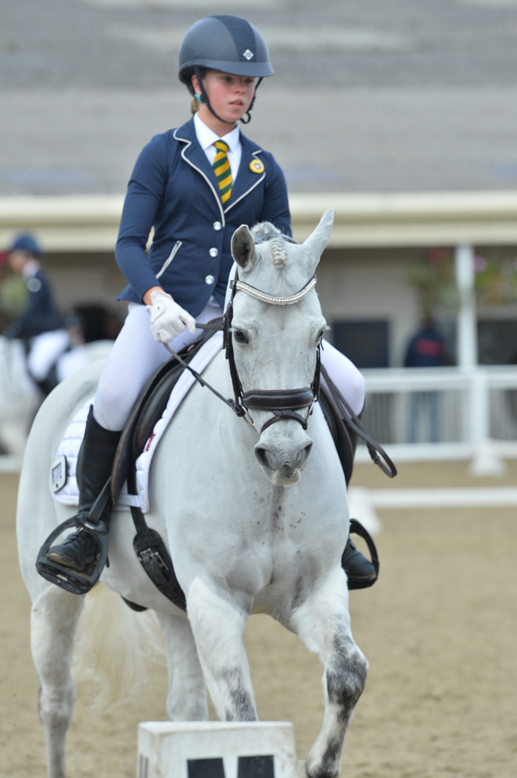 NSEA Membership - NSEA