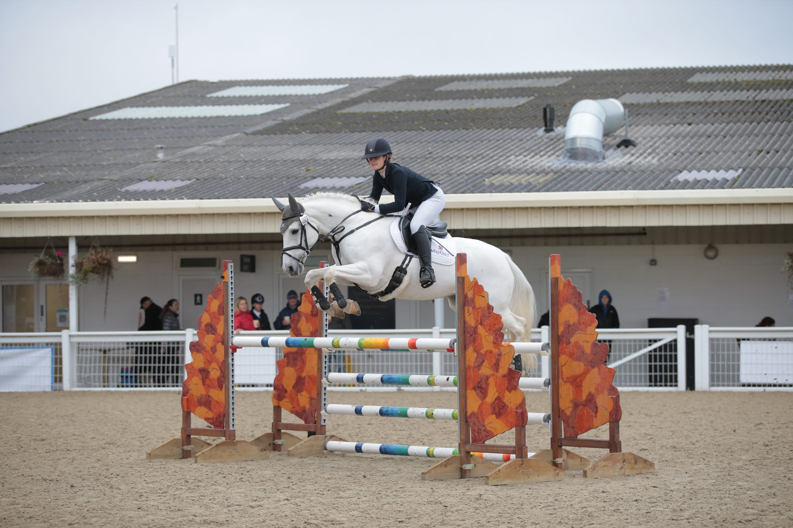 Show Jumping with the NSEA - NSEA