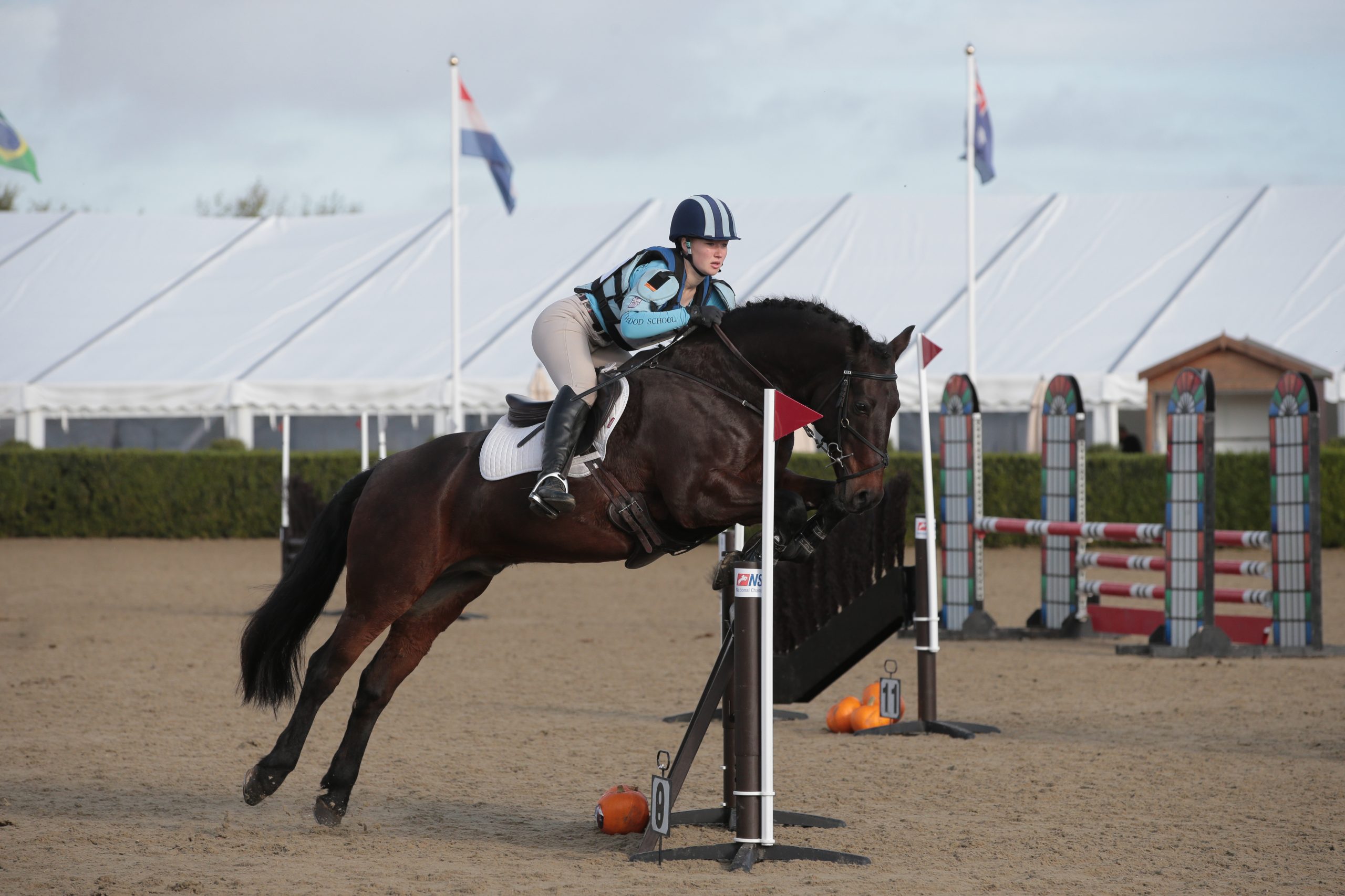 Arena Eventing & Eventers Challenge with the NSEA - NSEA